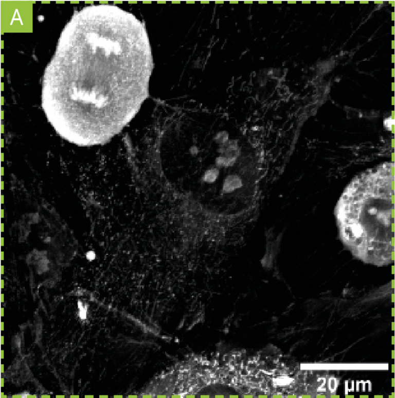 Nanolive CX-A | 3D HoloTomography System