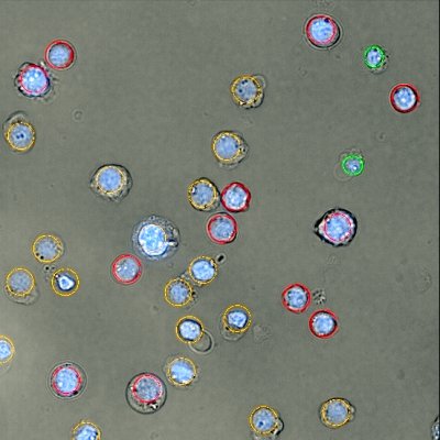 Cell Line Development | Cell Imager