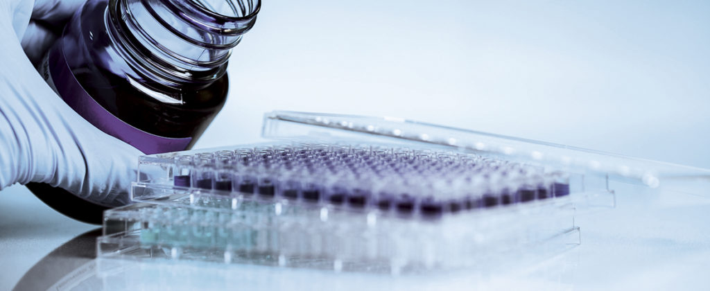 Cellavista 4| Automated cell culture microscope